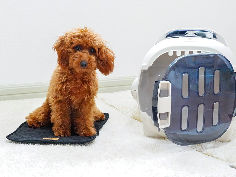 Nyan's Wan's クレートマット Richell キャンピングキャリー ファイン シリーズ Sサイズ専用